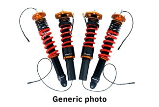 Porsche 911 (991) GT2 RS / GT3 RS Track Line Plug&Play electronic ...